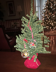 CBYX Virtual Program Highlights - March 2021 - CBYX